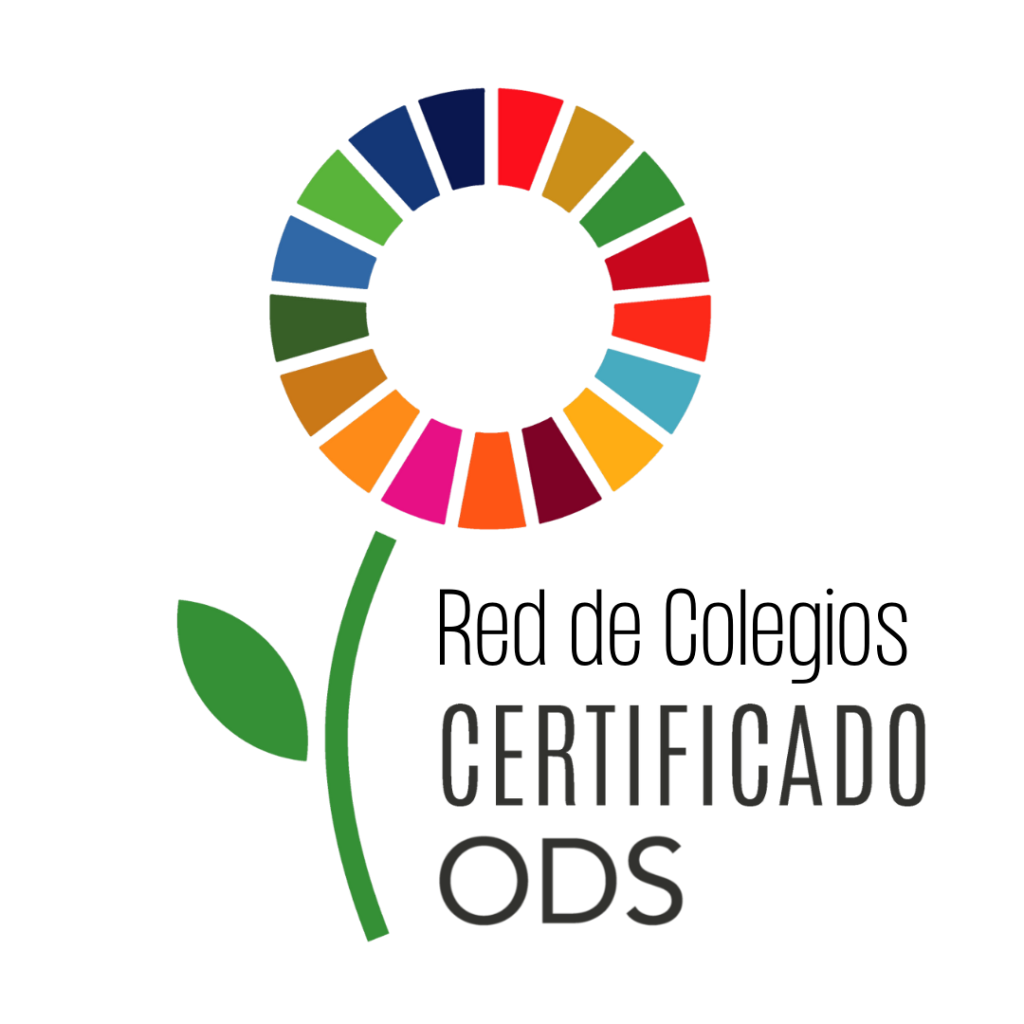 Modalidad Online - ISM